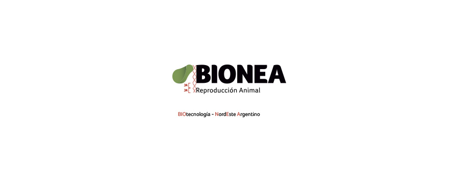 Desarrollo de Marca – Bionea – Agencia iluma